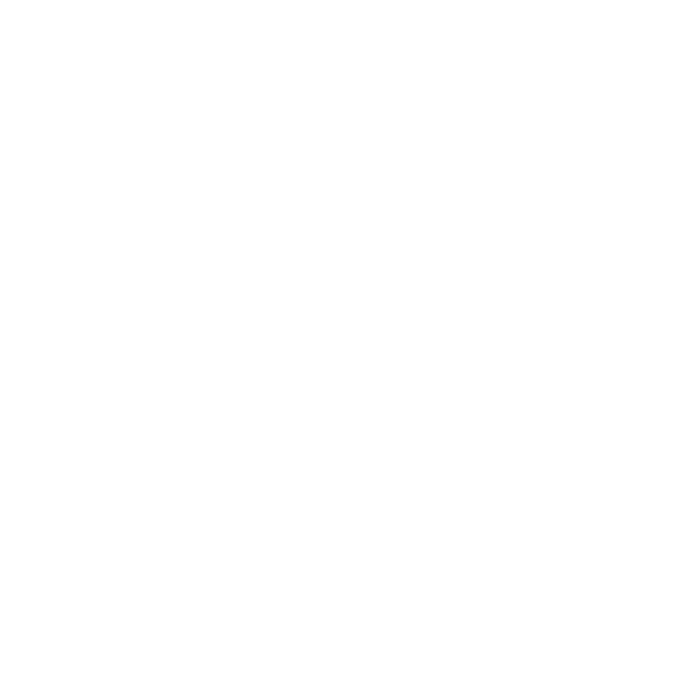 Bulletproof Transaction Widows From Total Security Solutions